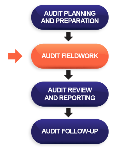 Stage 2: Audit Fieldwork